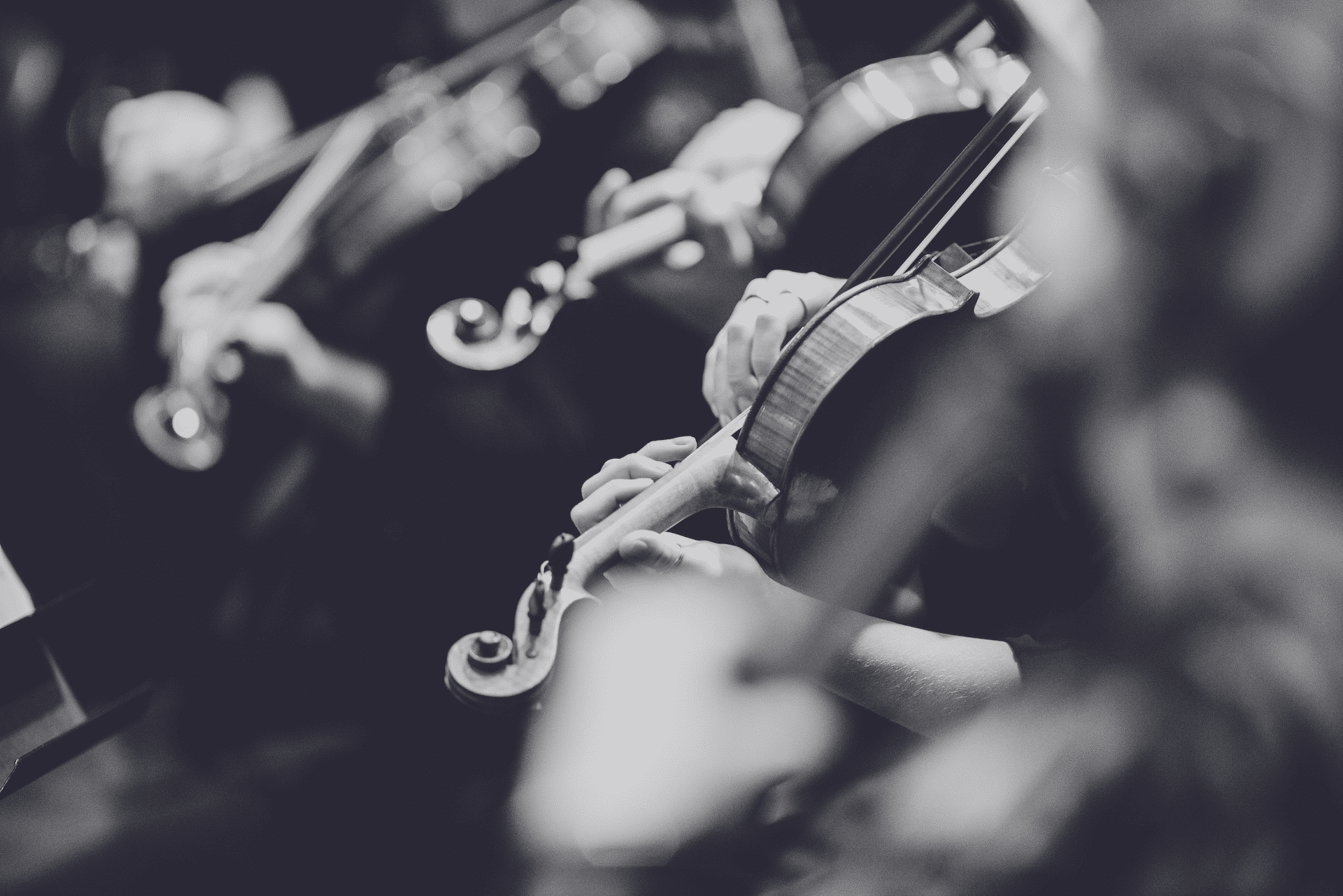 Organisation - Concerto Copenhagen